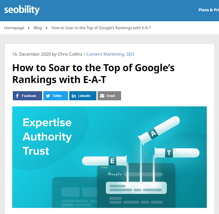 Google (Core) Updates: Everything you need to know - Seobility